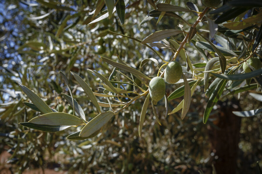 Discovering Sicily in October: Highlights and Must-See Attractions ...